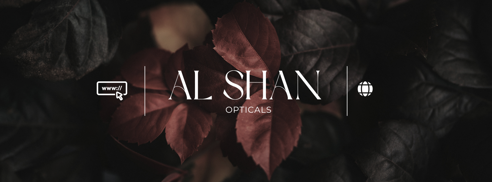 Al Shan Opticals